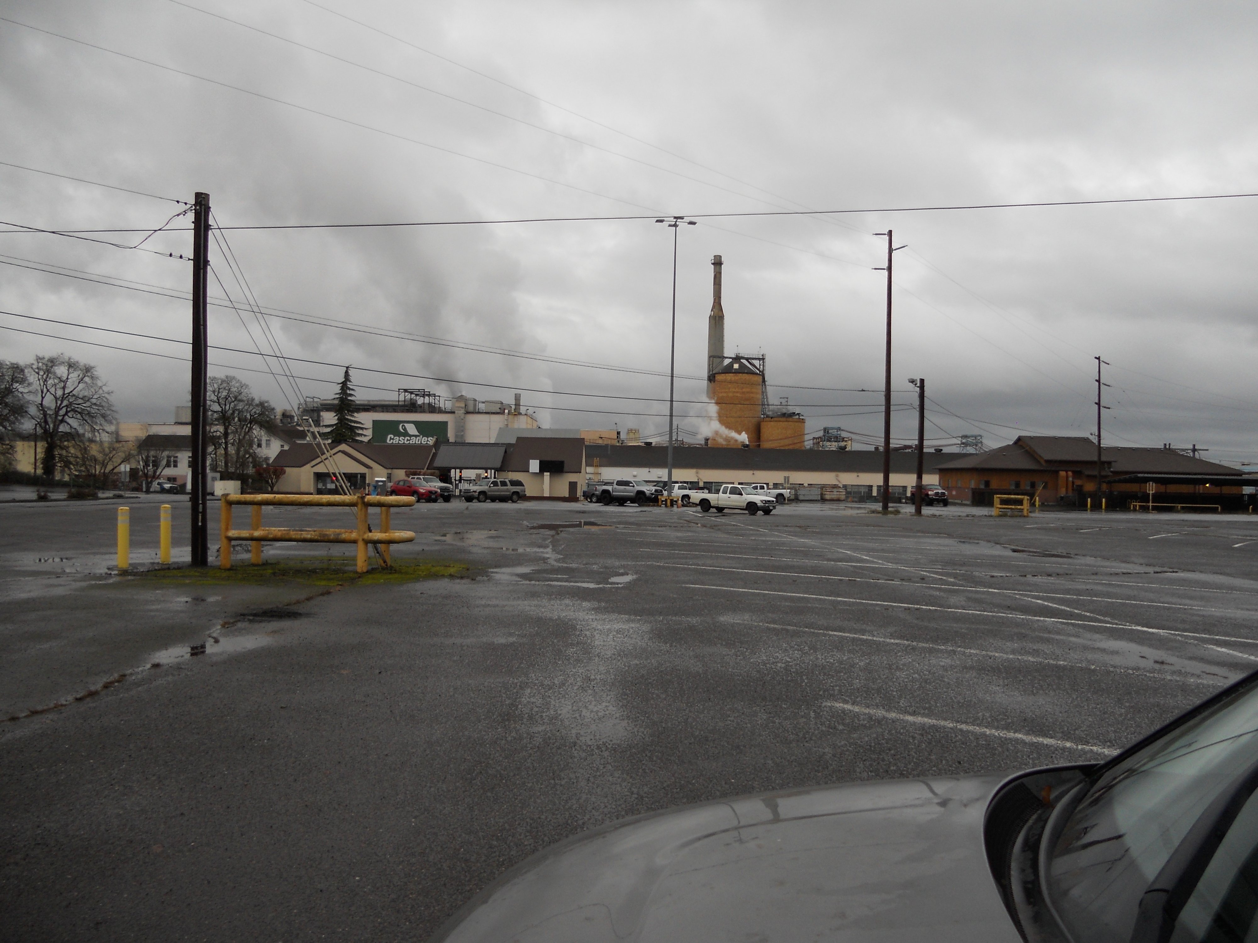 ‘The right fit for everybody’: Arcadia Paper Mills readies to ...