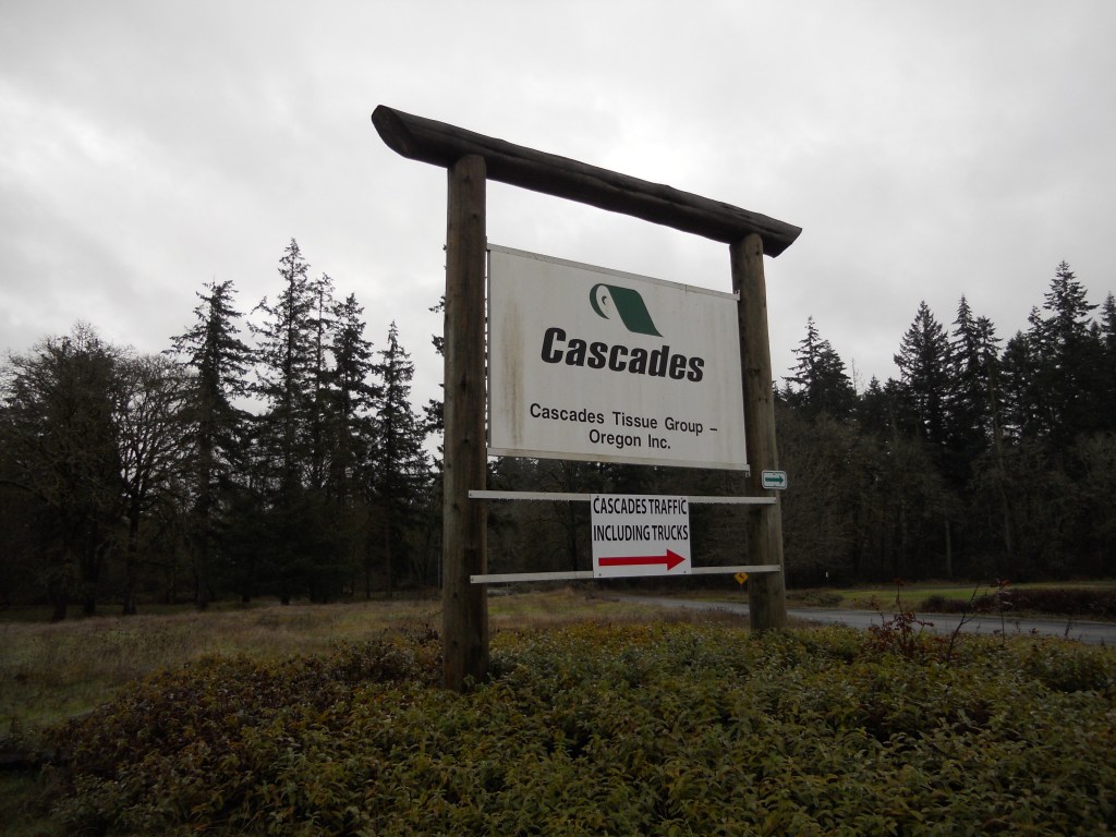 ‘The right fit for everybody’: Arcadia Paper Mills readies to ...