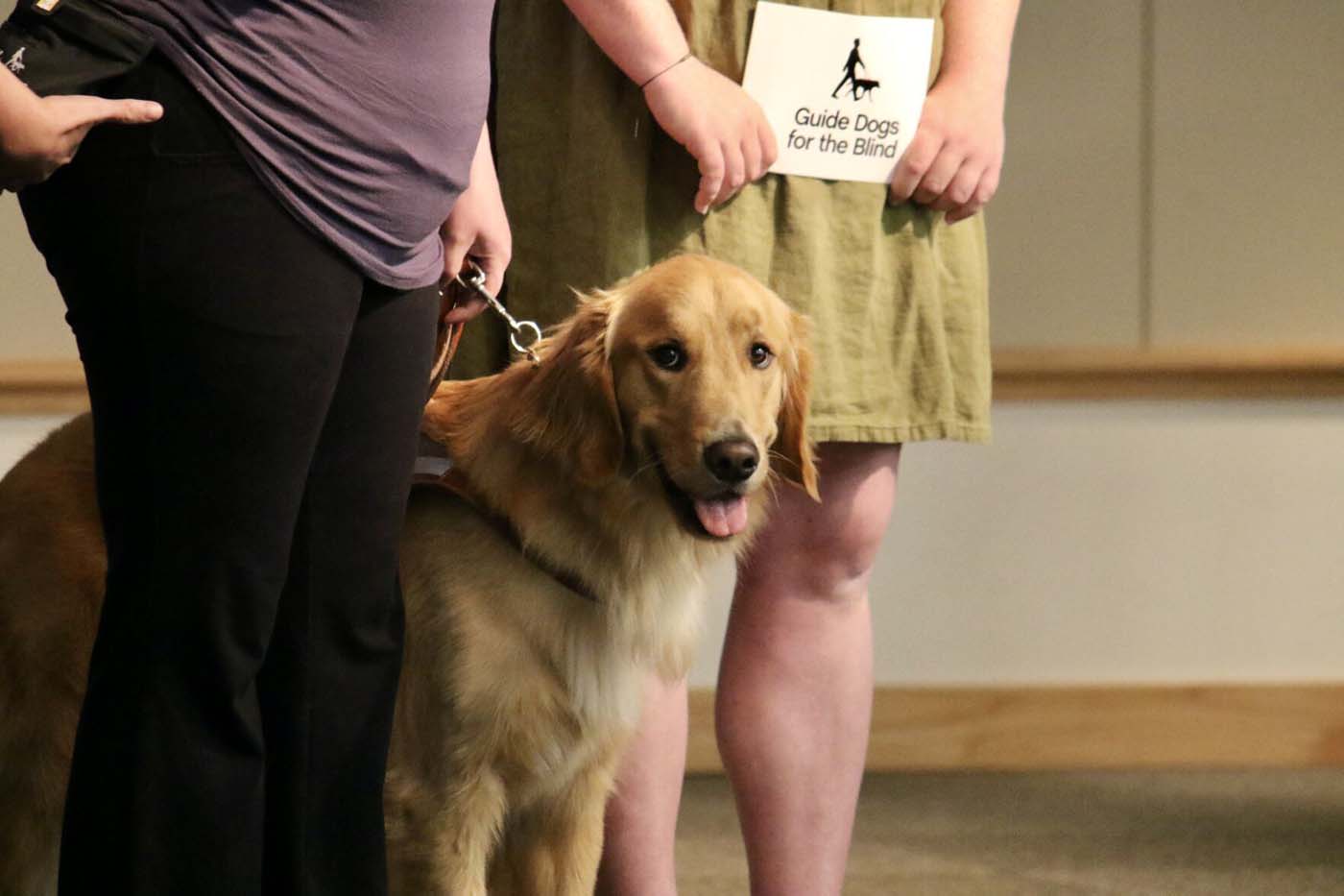 More than a dog: Guide Dogs for the Blind eliminates barriers for ...